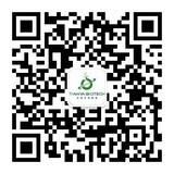 HMGB1 Recombinant antibody - 天涯生物